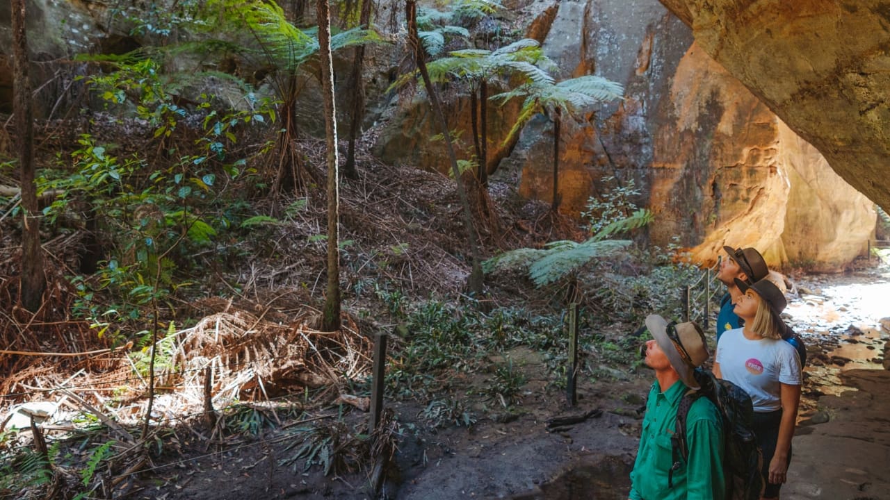 Boobook Explore | Green Travel Guide