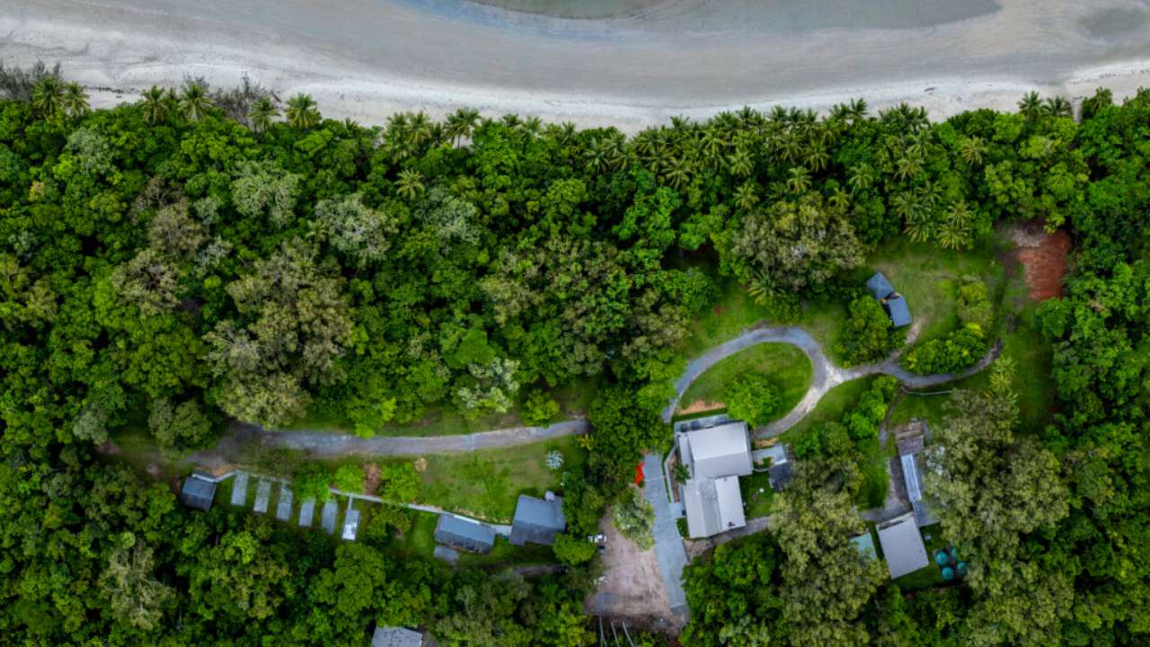Cape Tribulation Camping | Green Travel Guide
