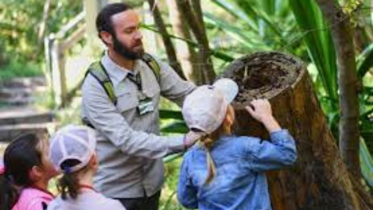 EcoWalks Tours | Green Travel Guide