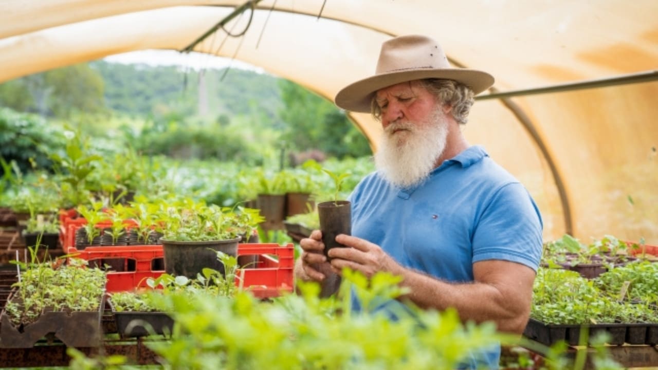 High Valley Dawn Permaculture Farm | Green Travel Guide