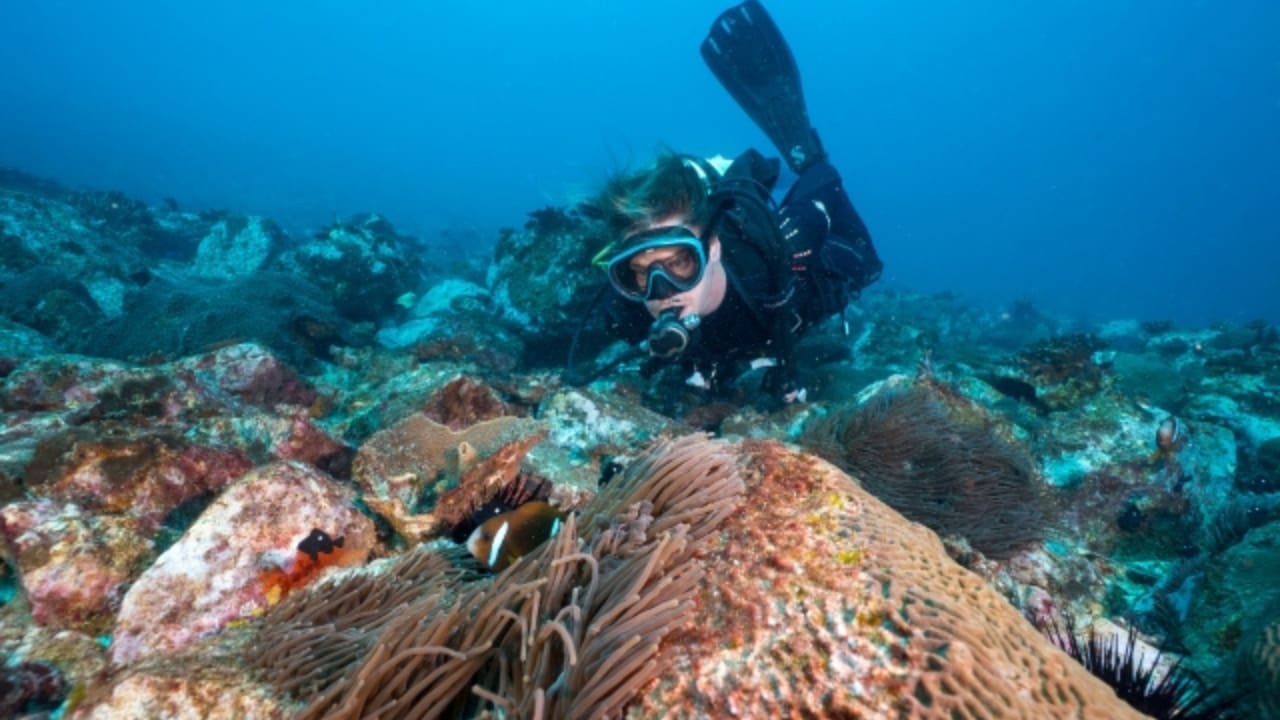 Jetty Dive Centre | Green Travel Guide
