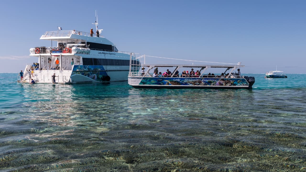 Lady Musgrave Experience | Green Travel Guide