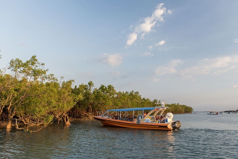 Sea Darwin Sea Tiwi | Green Travel Guide