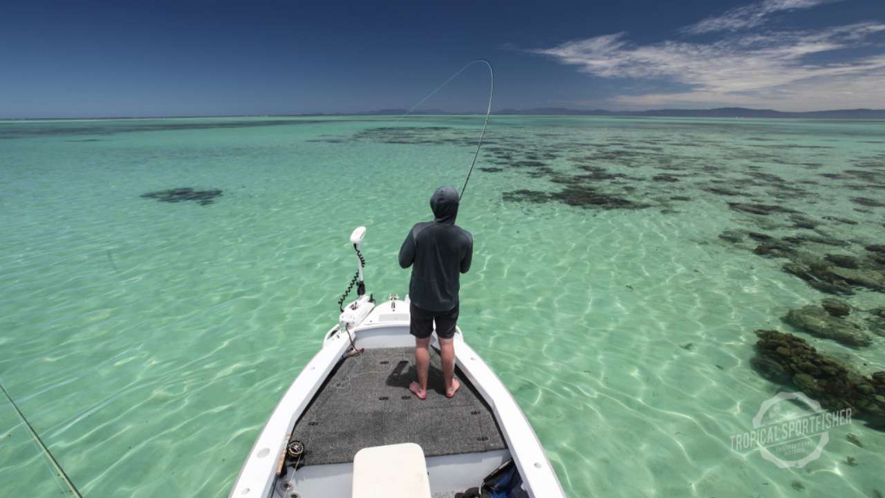 Tropical Sportfisher | Green Travel Guide