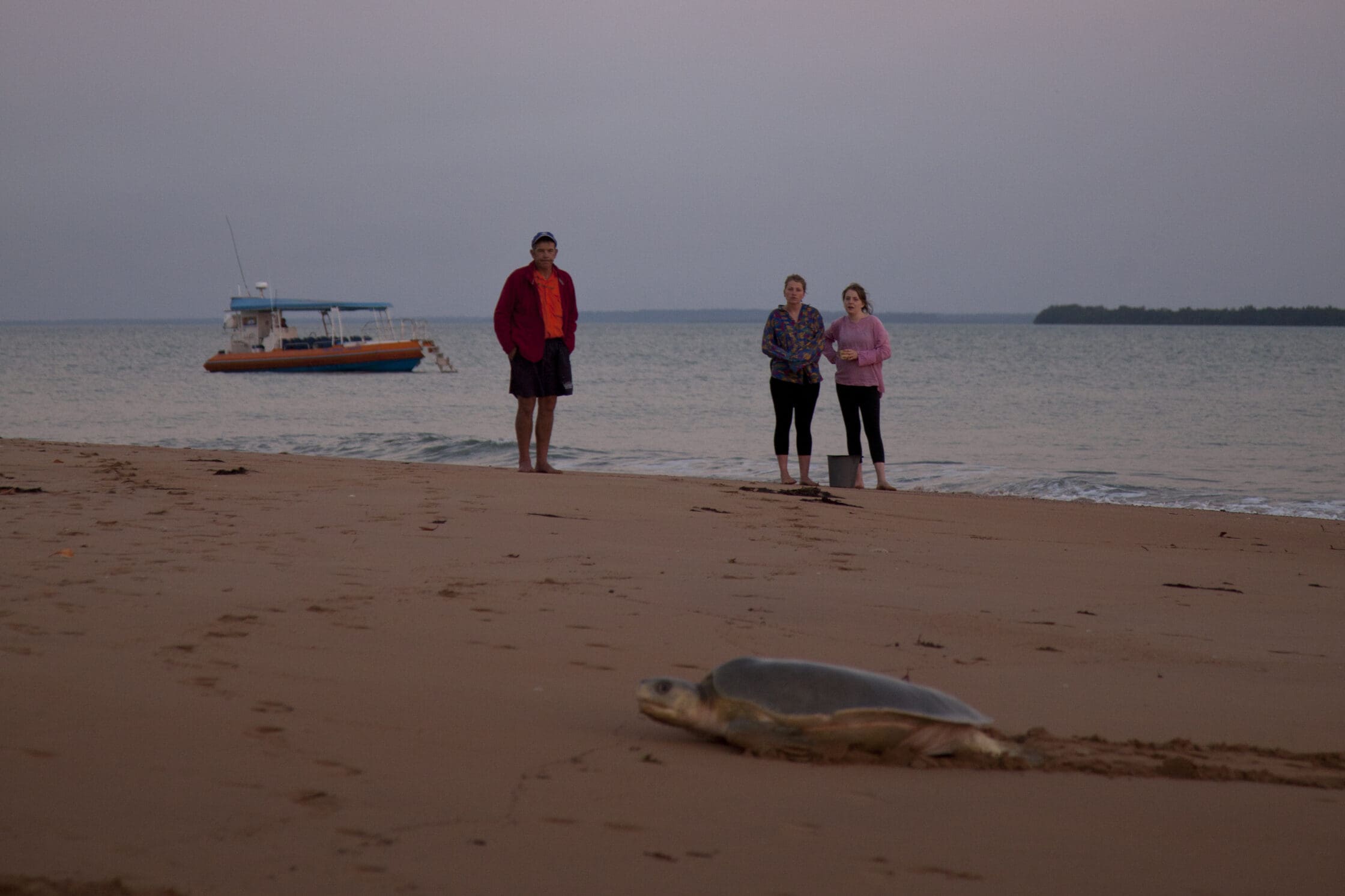 Sea Darwin Sea Tiwi | Green Travel Guide