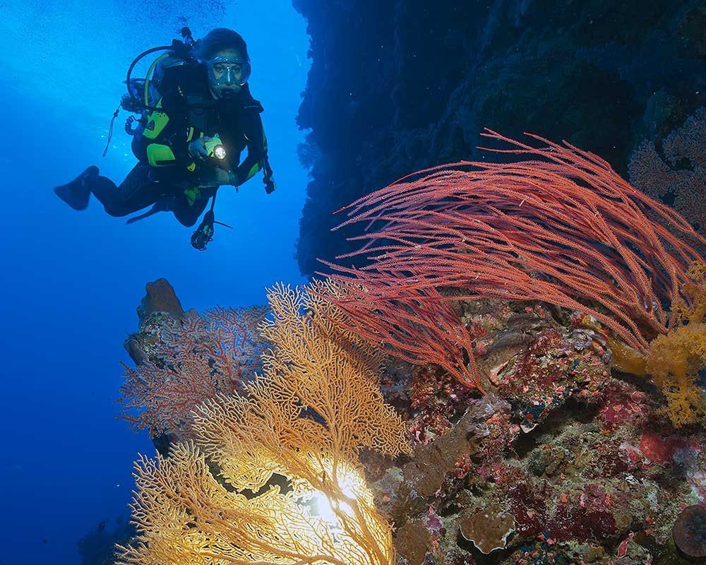 Tusa Reef Tours & Spirit of Freedom | Green Travel Guide